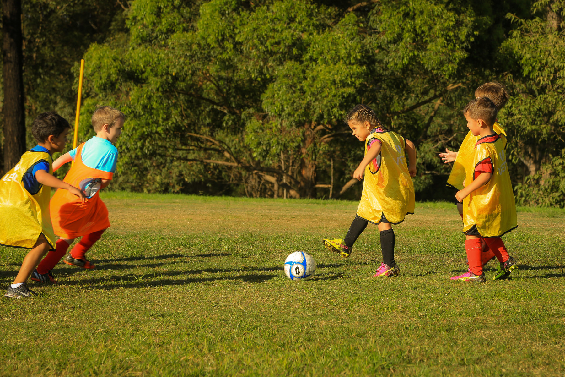 Minis - West Pennant Hills Redbacks FC - Sydney Football / Soccer Club ...