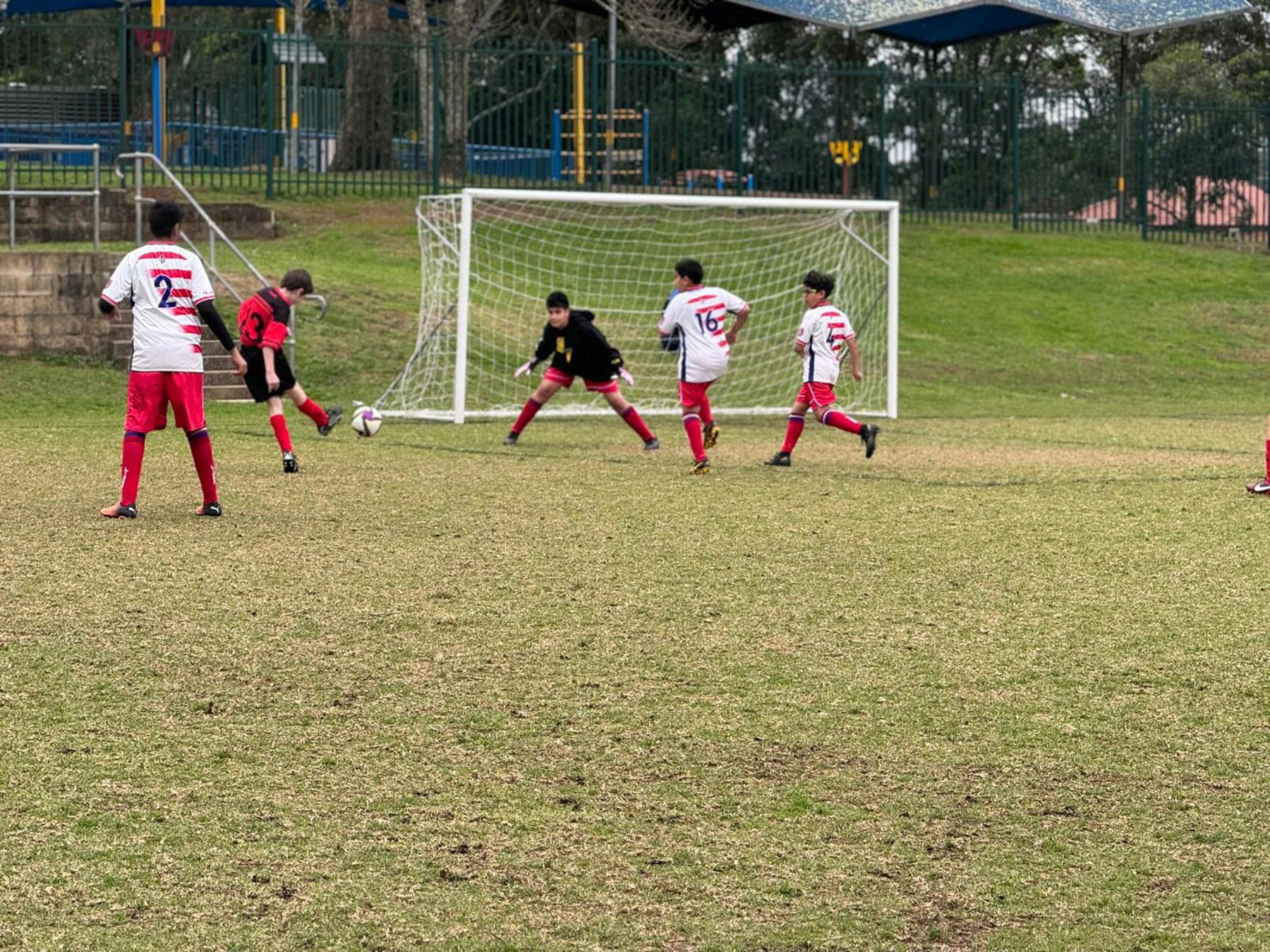 Around the Grounds - West Pennant Hills Redbacks FC - Sydney Football ...