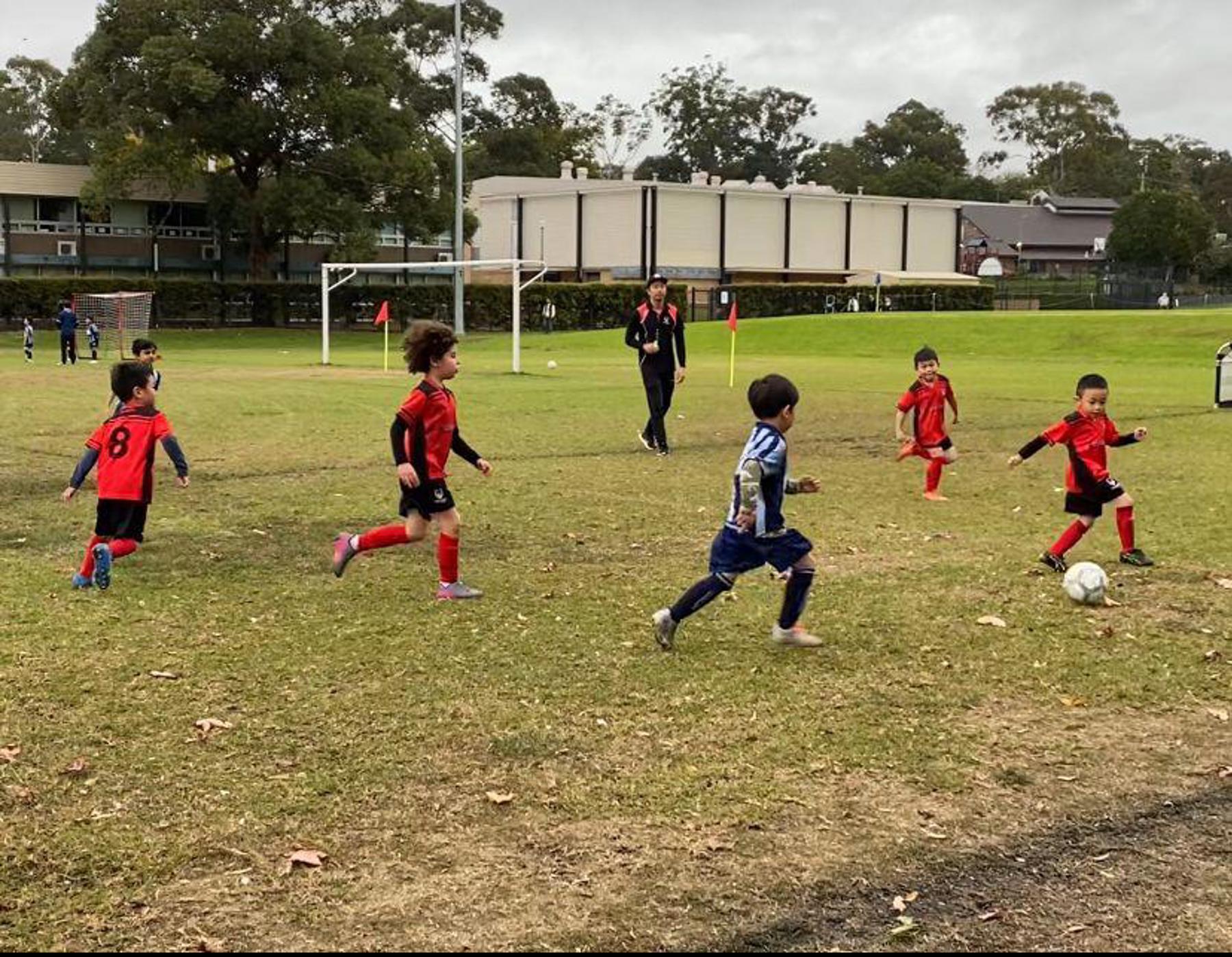 Around the Grounds - West Pennant Hills Redbacks FC - Sydney Football ...