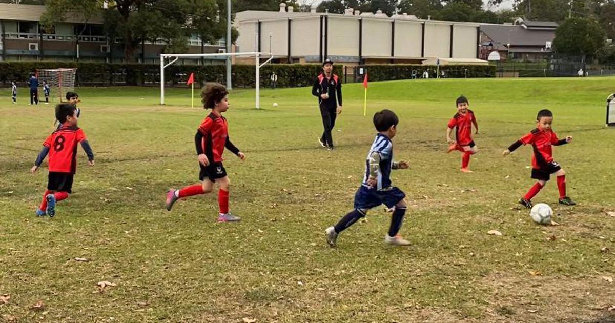 Around the Grounds - West Pennant Hills Redbacks FC - Sydney Football ...
