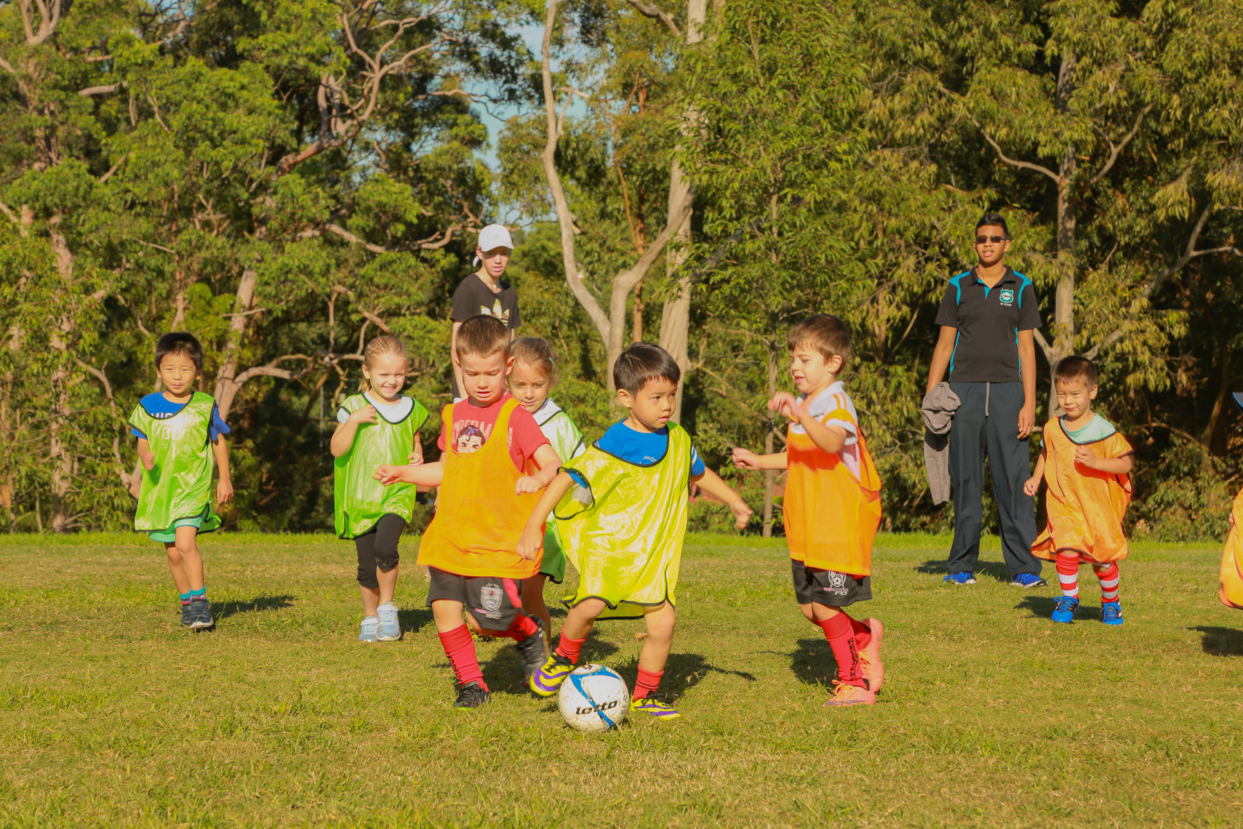 Minis - West Pennant Hills Redbacks FC - Sydney Football / Soccer Club ...