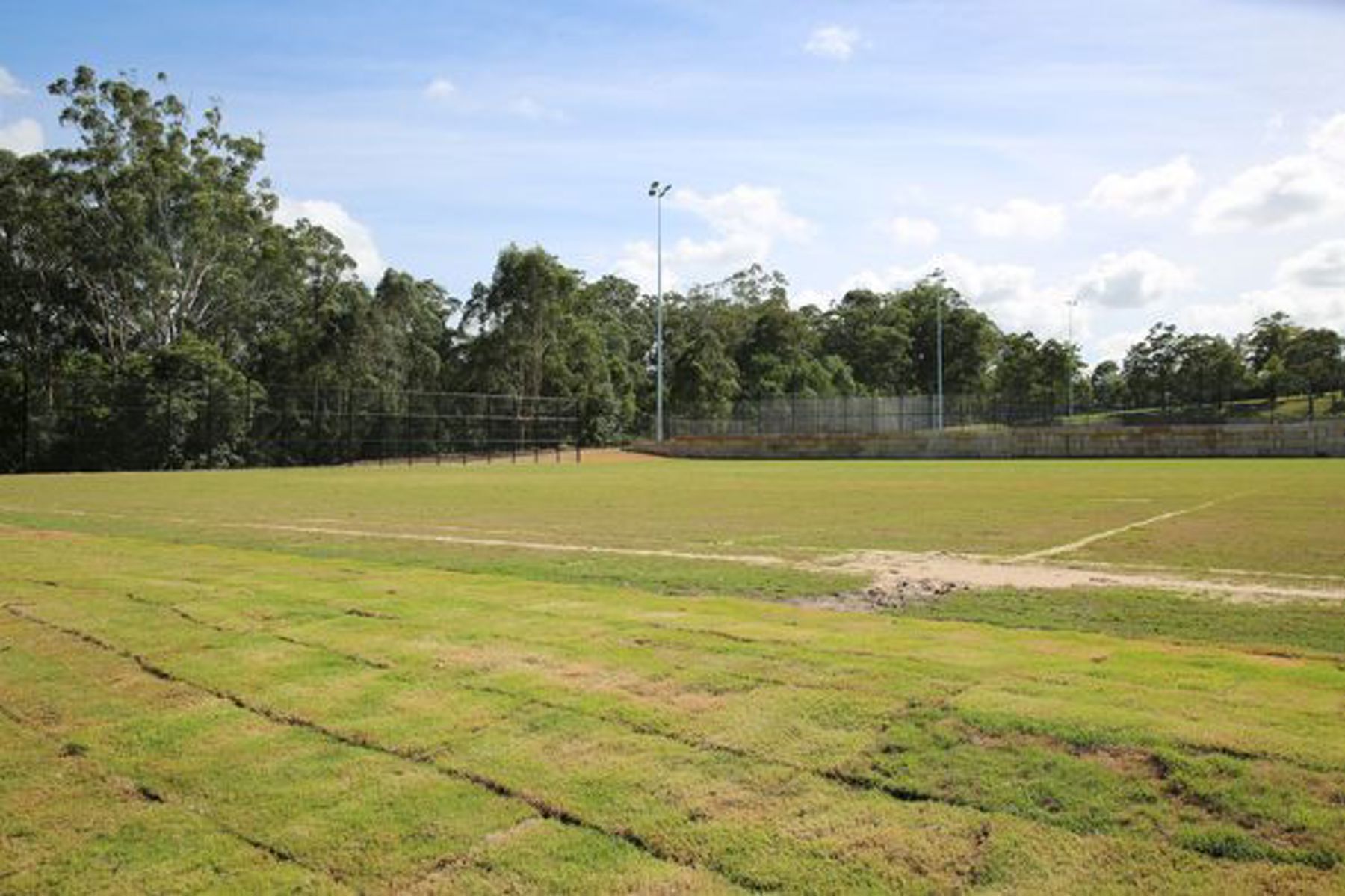 Update - George Thornton Reserve Upgrade & Field Extension - West ...